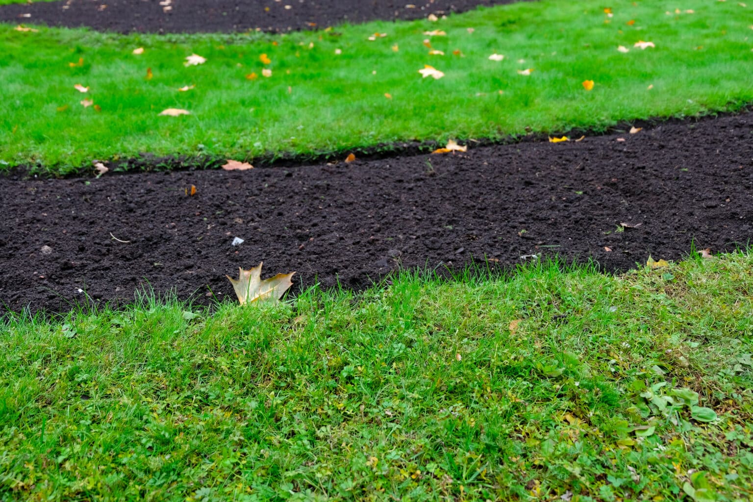 How Seasonal Fertilization Builds a Strong, Resilient Lawn - Tick & Turf